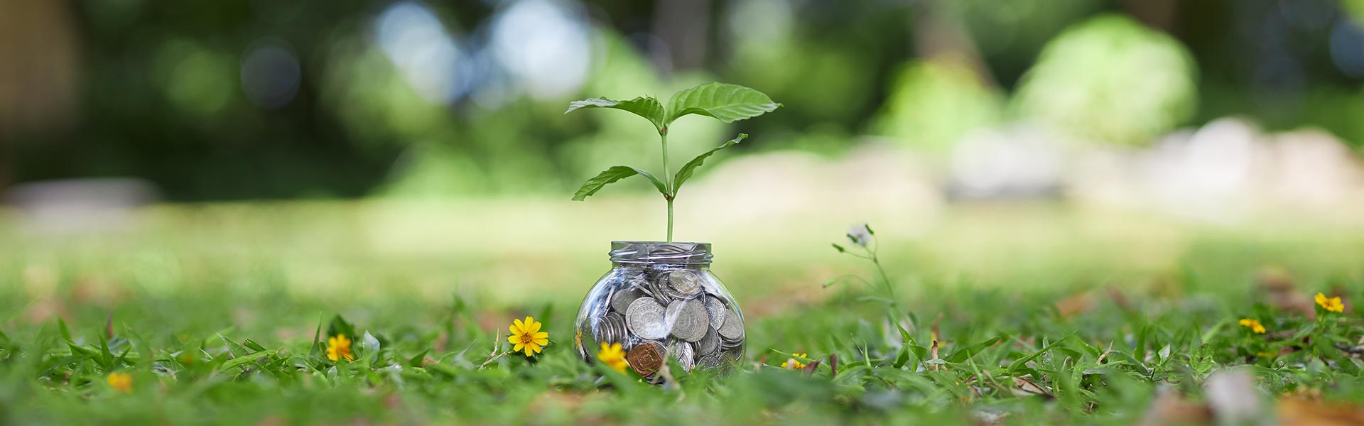 Life - Assuria Guyana Insurance